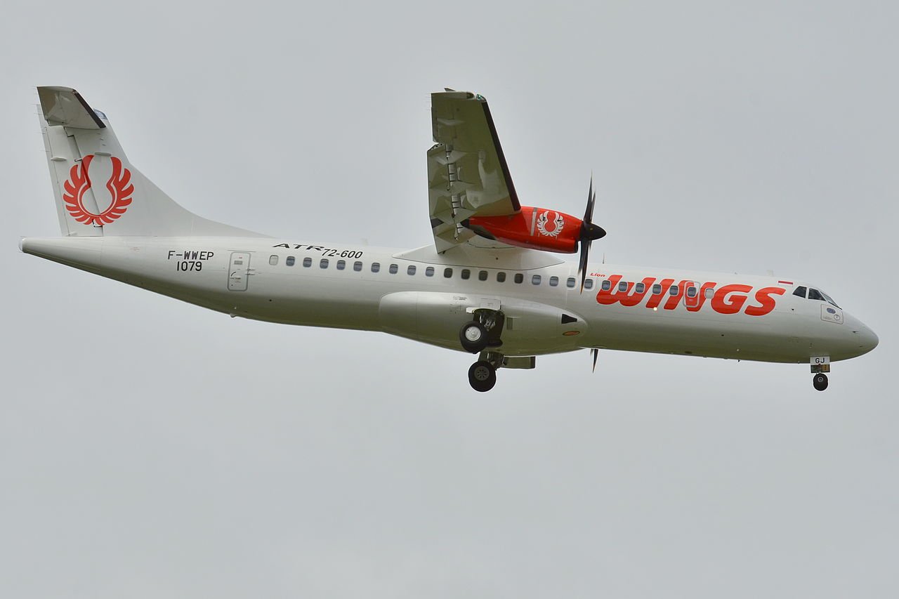 Wings Air: Reviews, Schedule and Tickets Booking