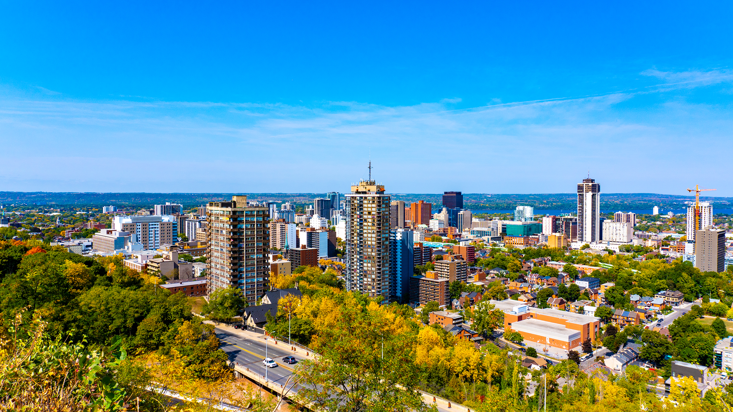 Auckland to Hamilton by bus, train, flight from NZD 69 - May 2026