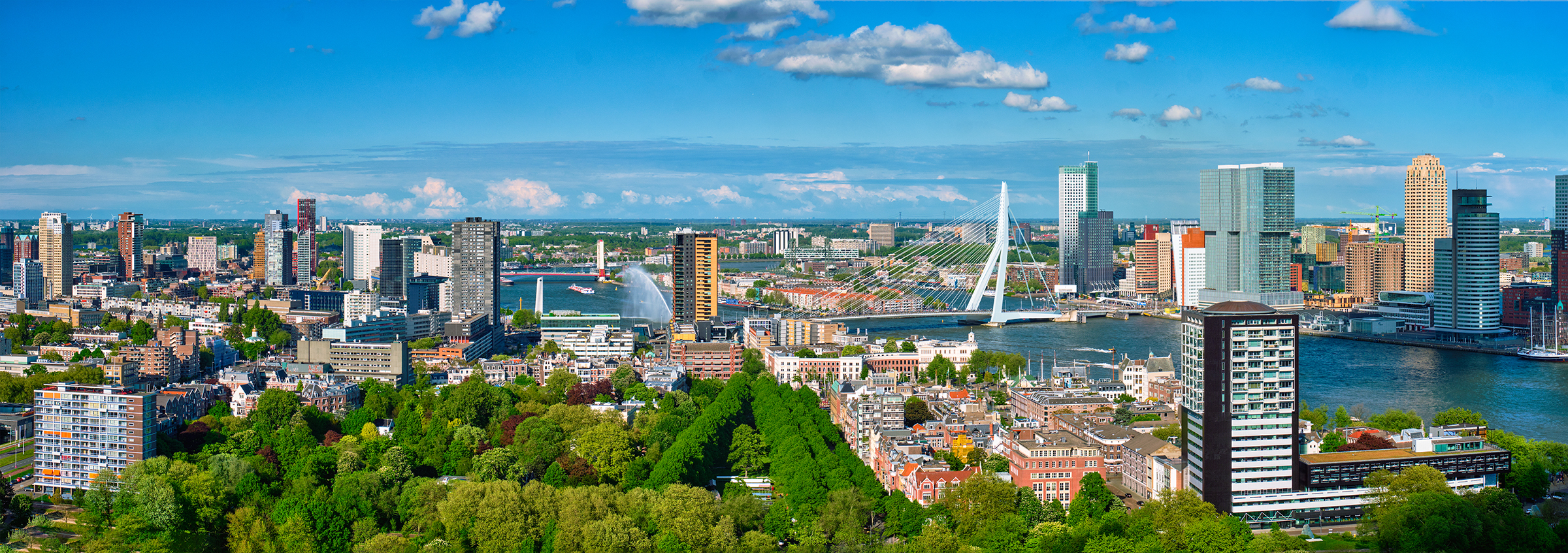 Buses from Antwerp to Rotterdam from EUR 13 Aug 2025